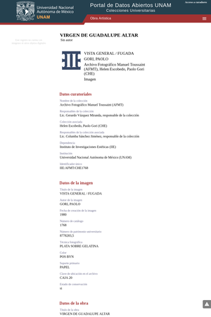 VIRGEN DE GUADALUPE ALTAR: VISTA GENERAL / FUGADA