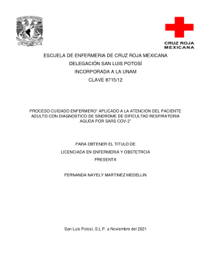 Proceso cuidado enfermero "aplicando a la atención del paciente adulto ...